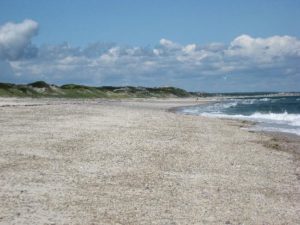 Sandy Neck Beach: Cape Cod Beaches
